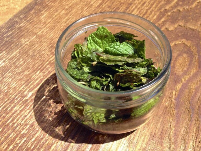 How To Make Peppermint Oil - Living Healthy With Chocolate